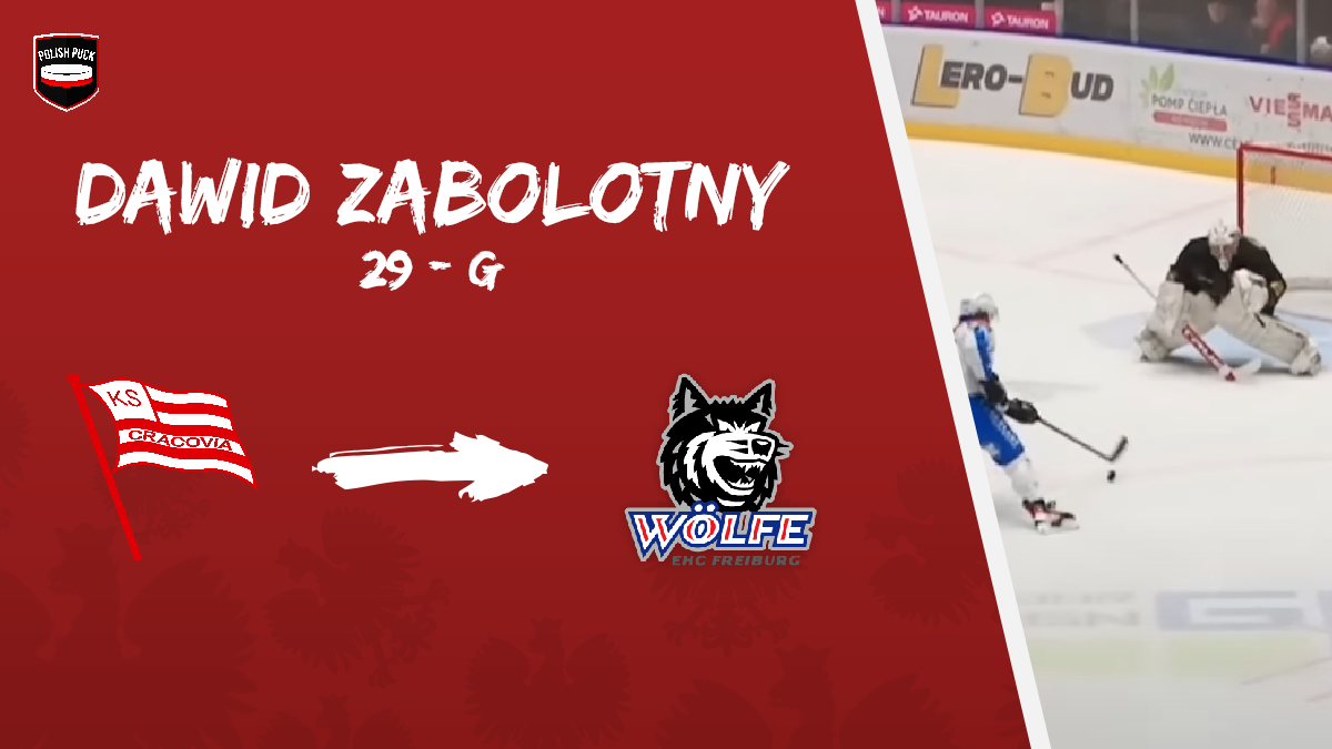Polish National Team Goalie Dawid Zabolotny Signs in DEL2 – Polish Puck